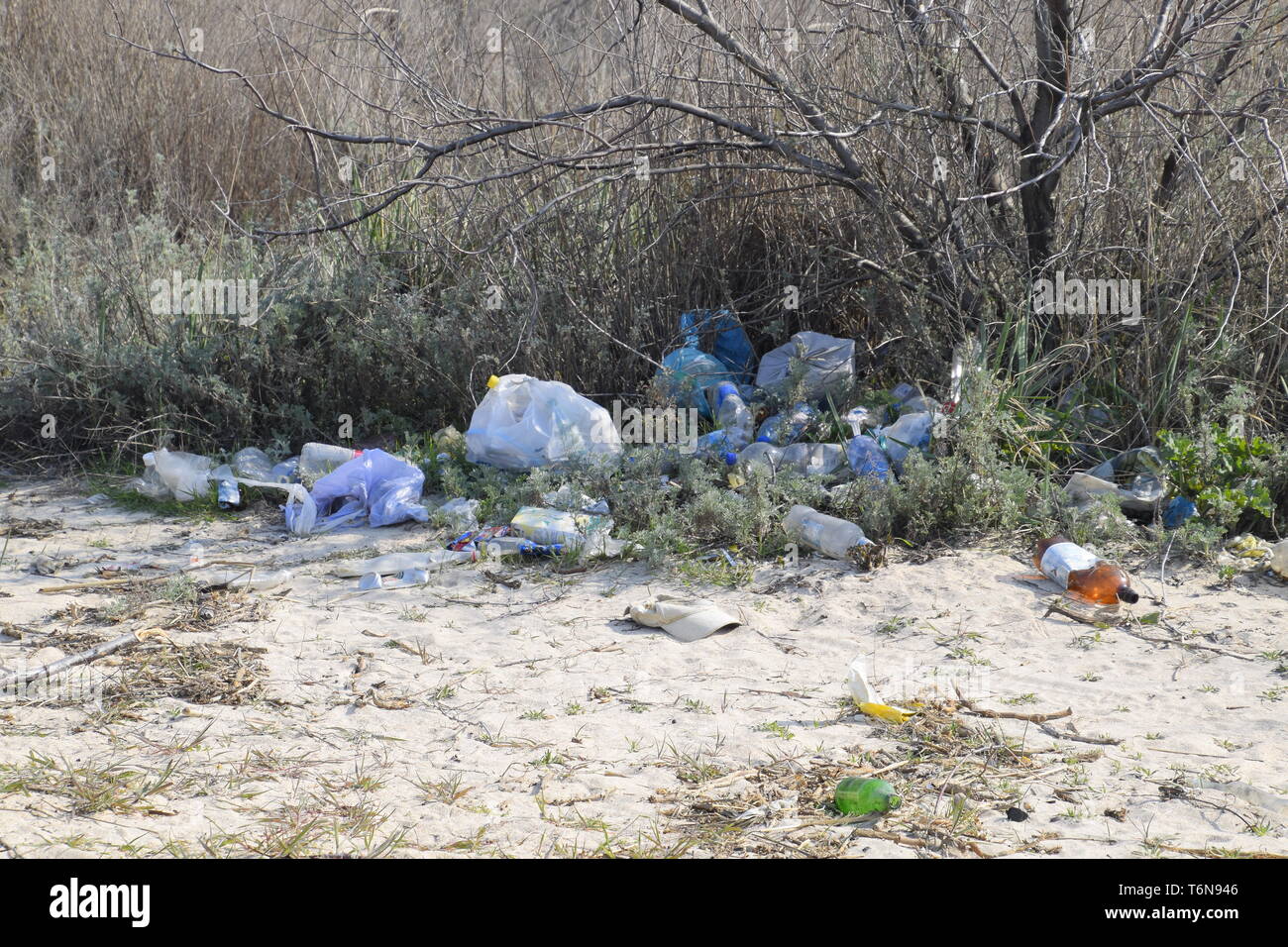 Rubbish under the bushes in nature. Garbage left by tourists, pollution ...