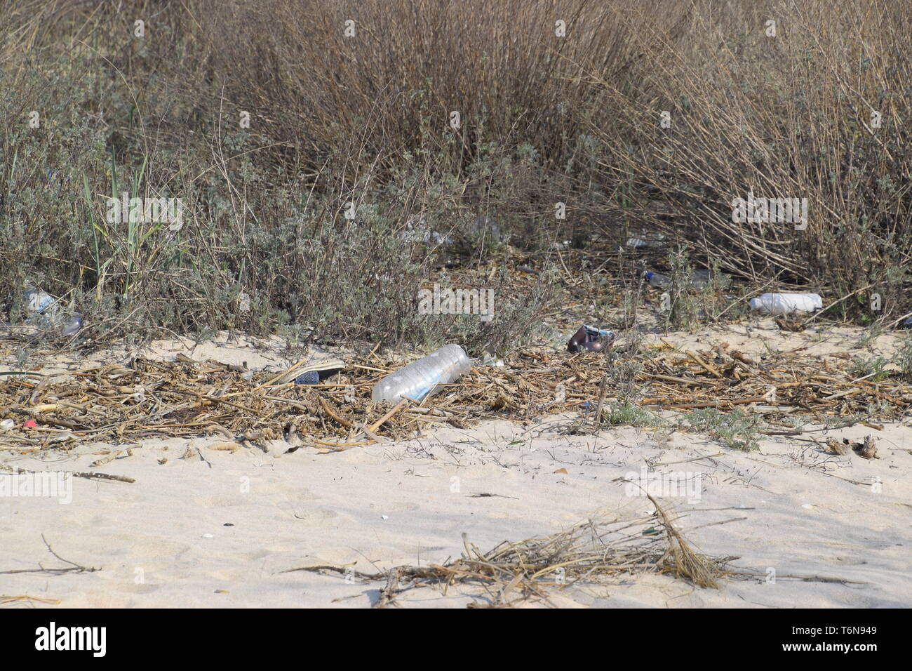 Rubbish under the bushes in nature. Garbage left by tourists, pollution ...