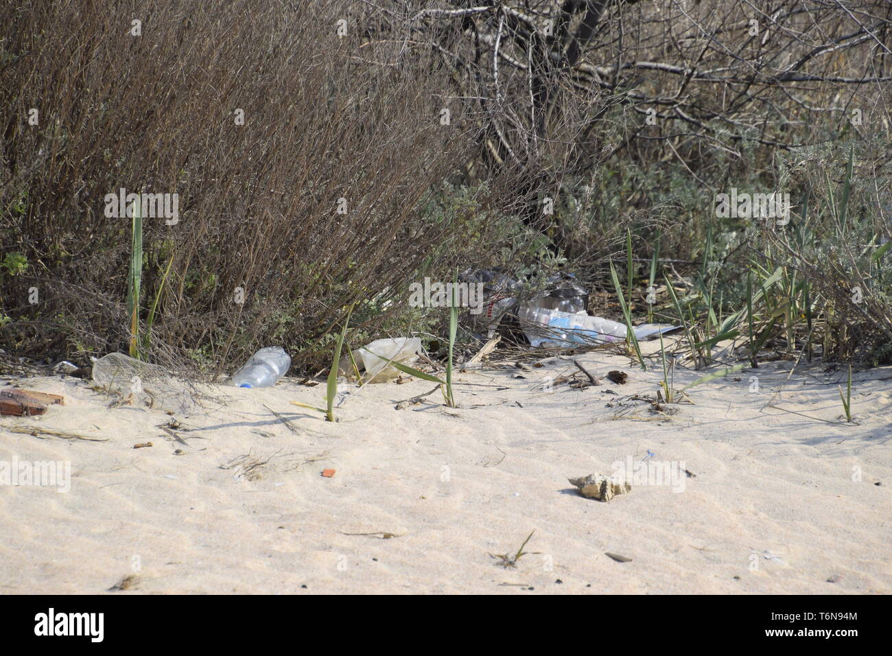 Rubbish under the bushes in nature. Garbage left by tourists, pollution ...