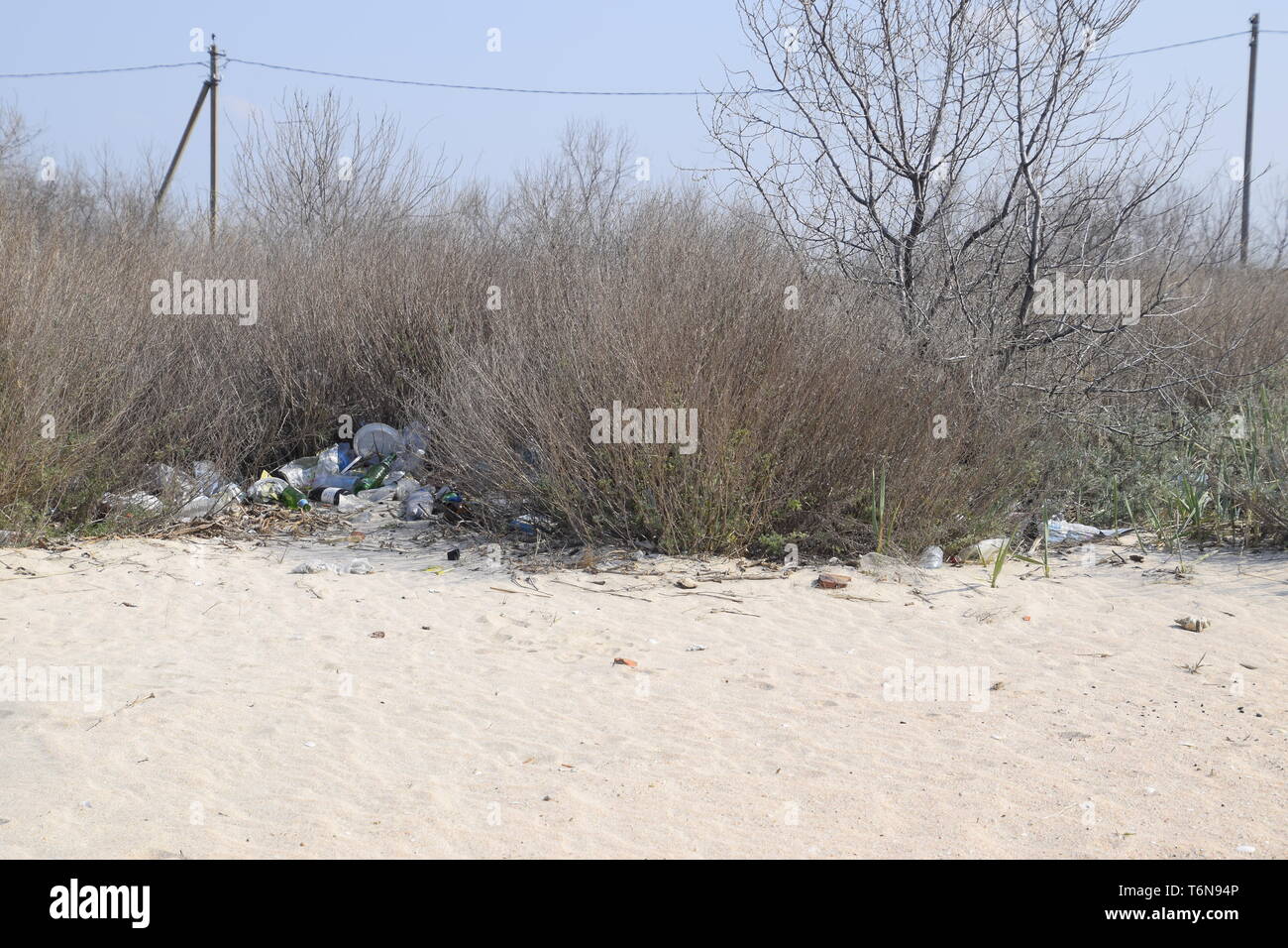 Rubbish under the bushes in nature. Garbage left by tourists, pollution ...
