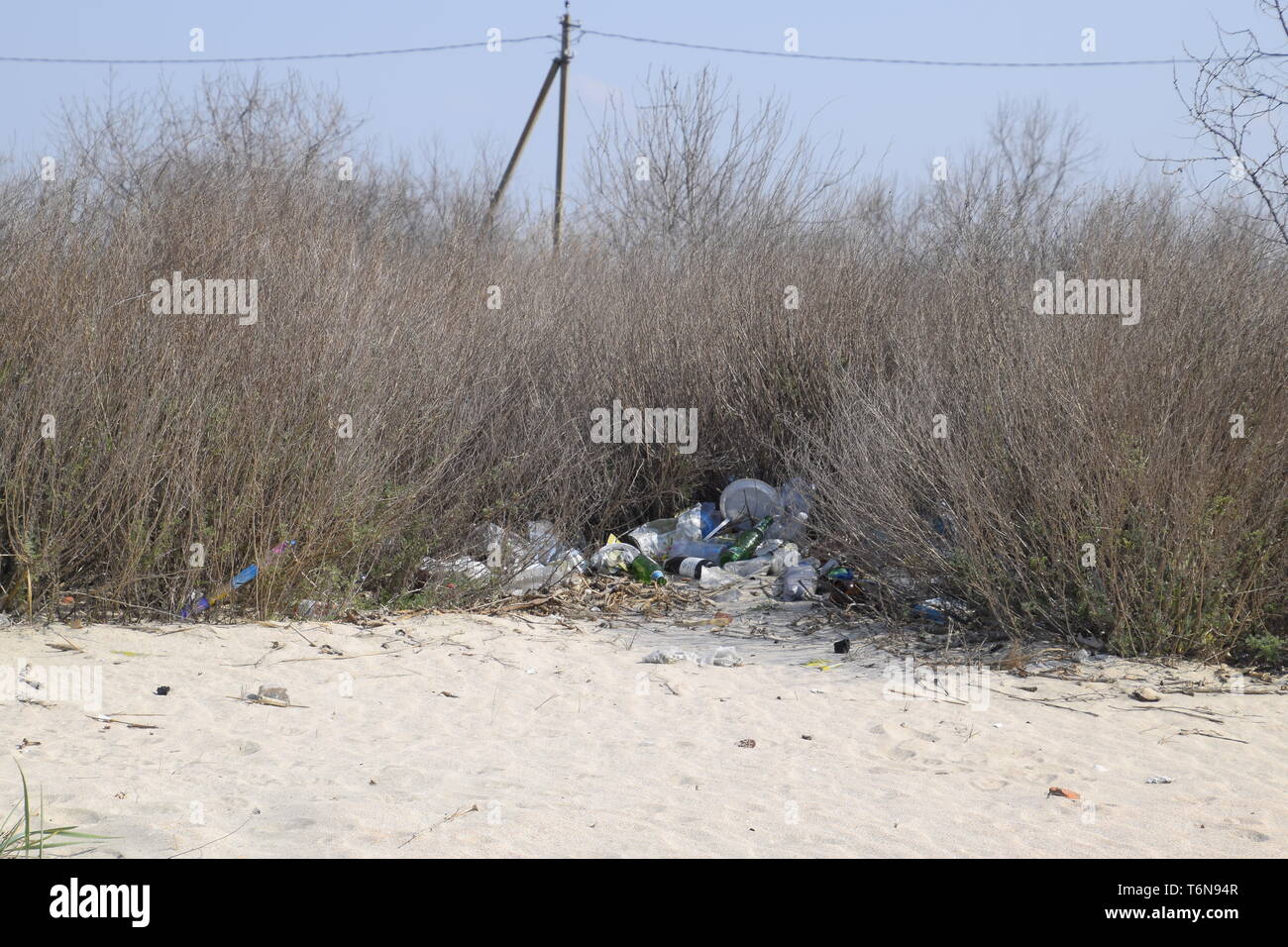 Rubbish under the bushes in nature. Garbage left by tourists, pollution ...