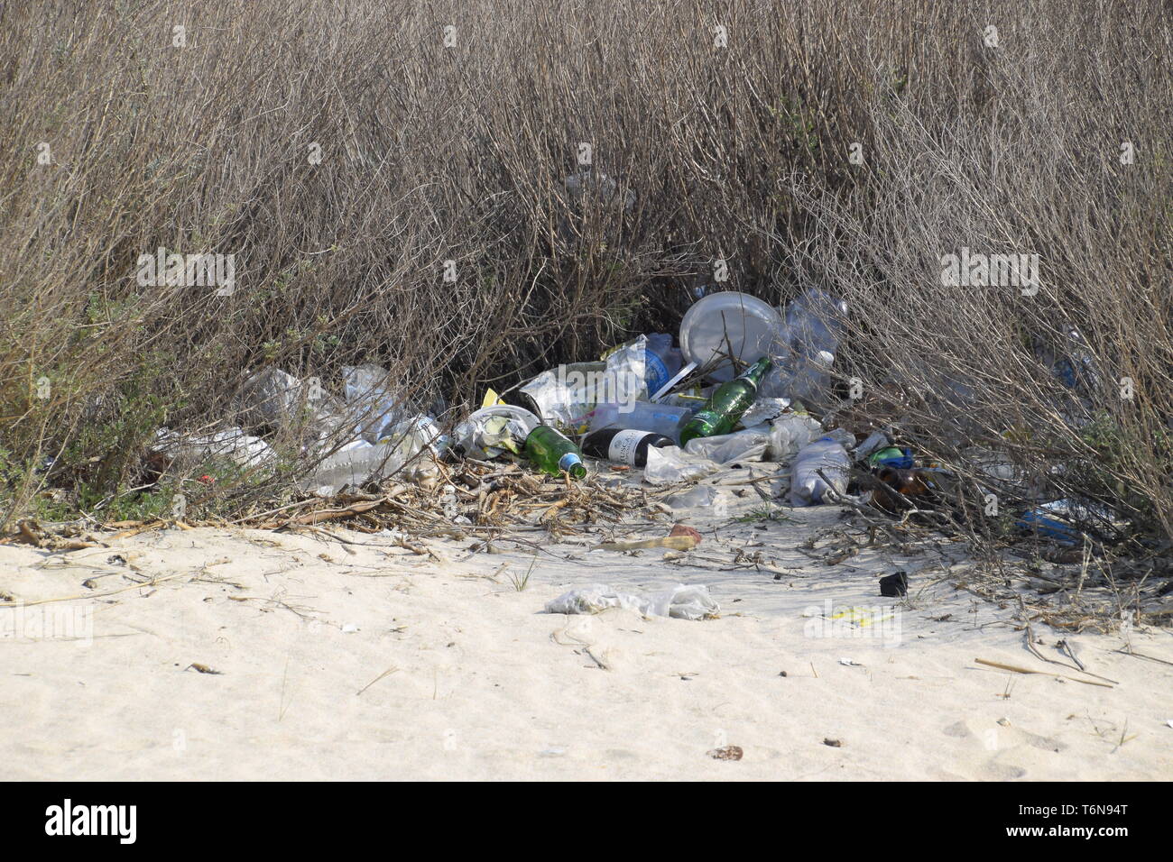 Rubbish under the bushes in nature. Garbage left by tourists, pollution ...
