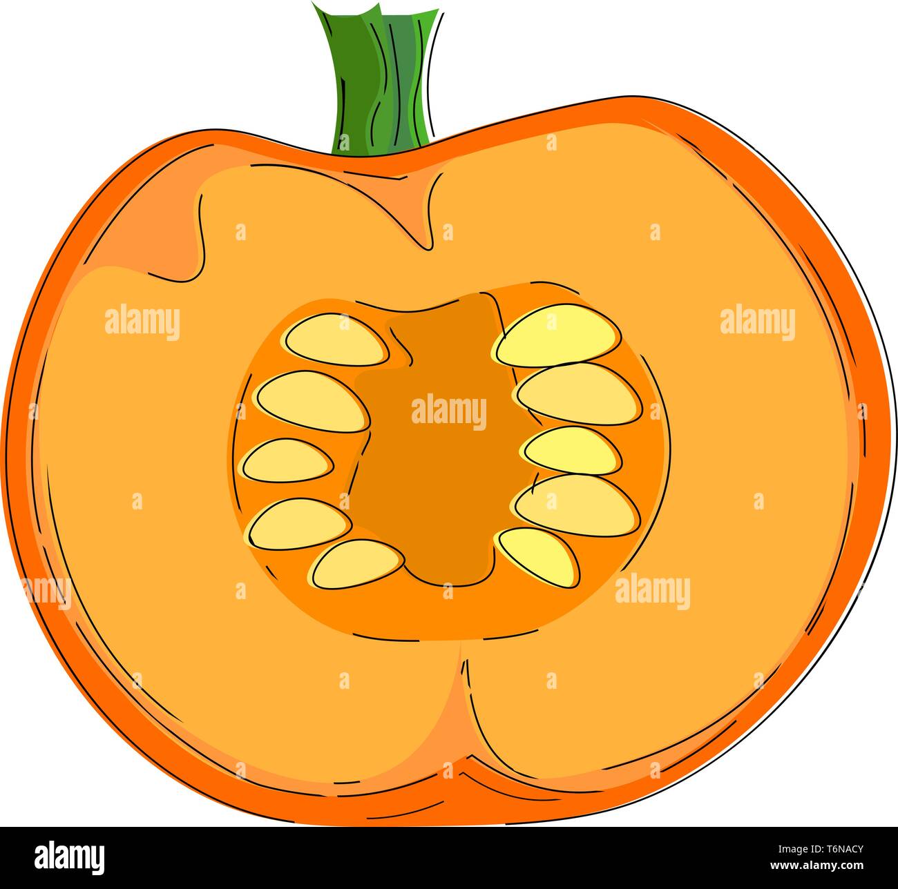 Pumpkin cut in half seeds Stock Vector Images - Alamy