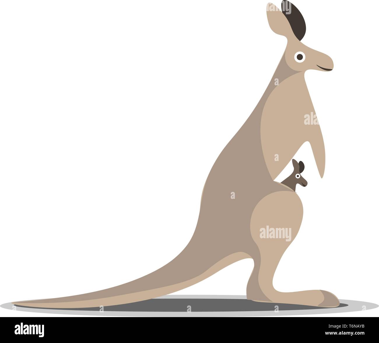 Kangaroo In Pouch Drawing