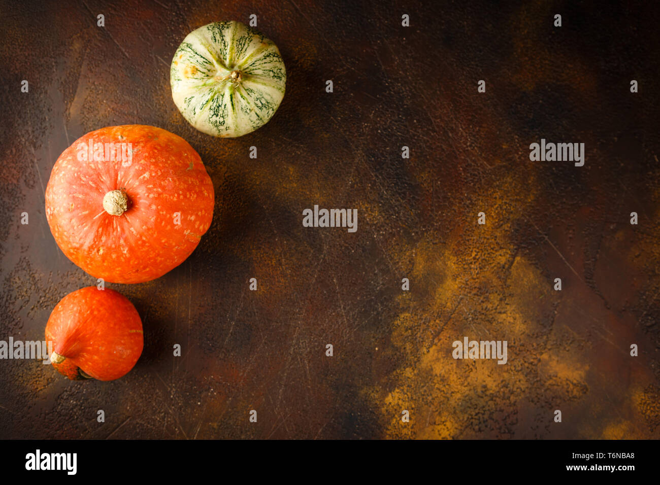 Pumpkin background hi-res stock photography and images - Alamy