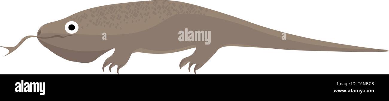Big monitor lizard Stock Vector Images - Alamy