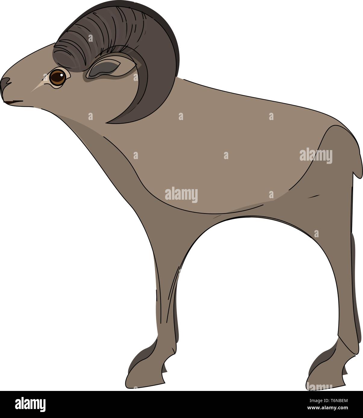 Male mouflon Stock Vector Images - Alamy