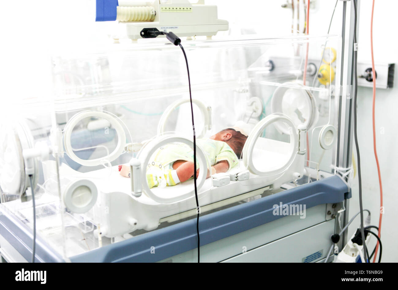 Newborn baby in hospital incubator Stock Photo - Alamy