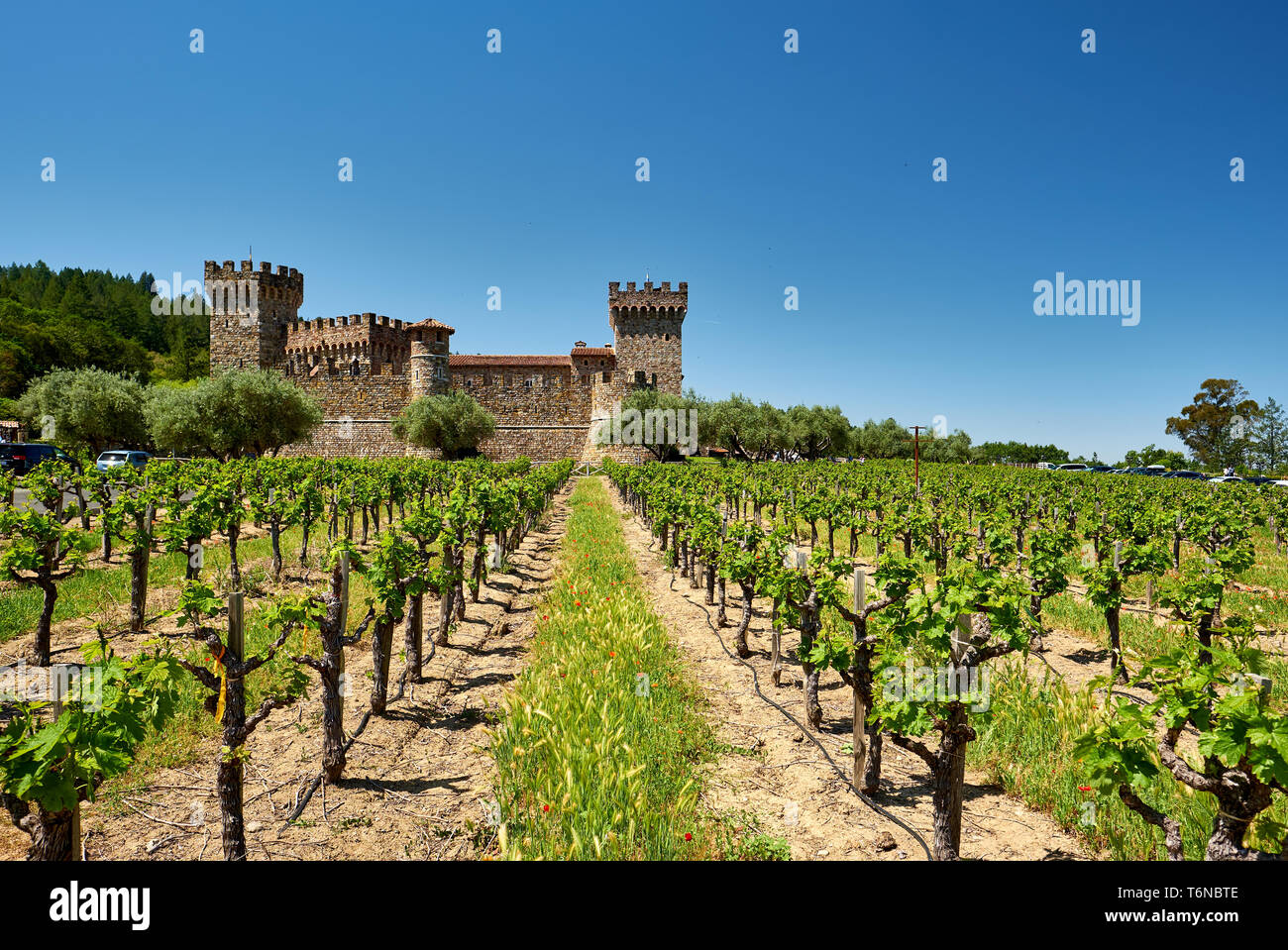 West coast vineyards hi-res stock photography and images - Alamy