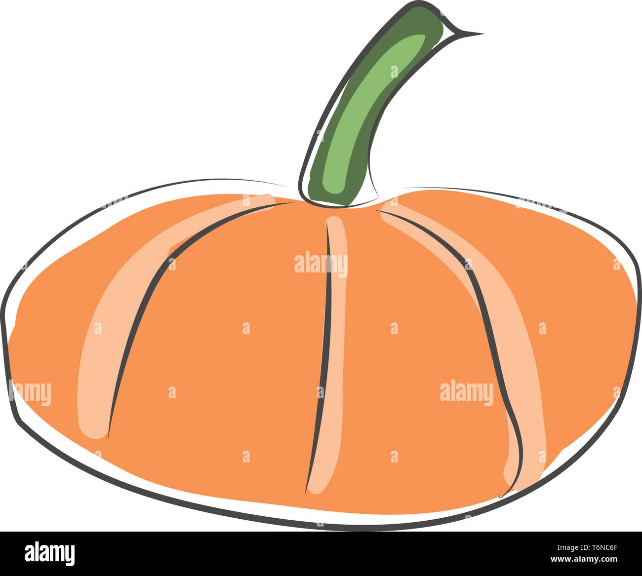 A cartoon of large orange pumpkin with green stem vector color drawing ...