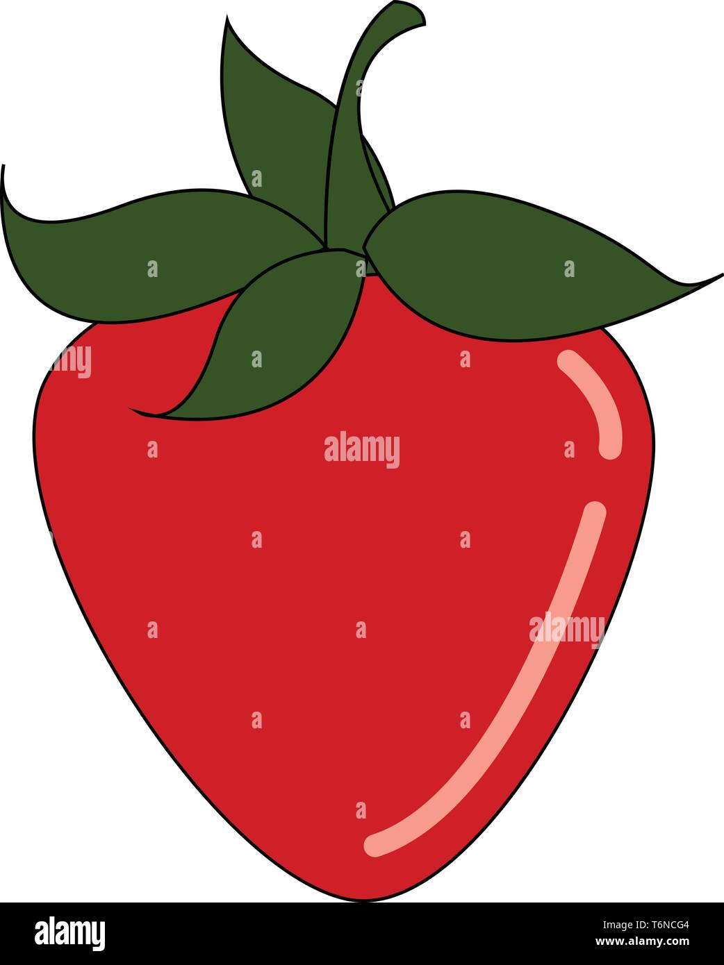 Strawberry fruit vector vectors hi-res stock photography and images - Alamy