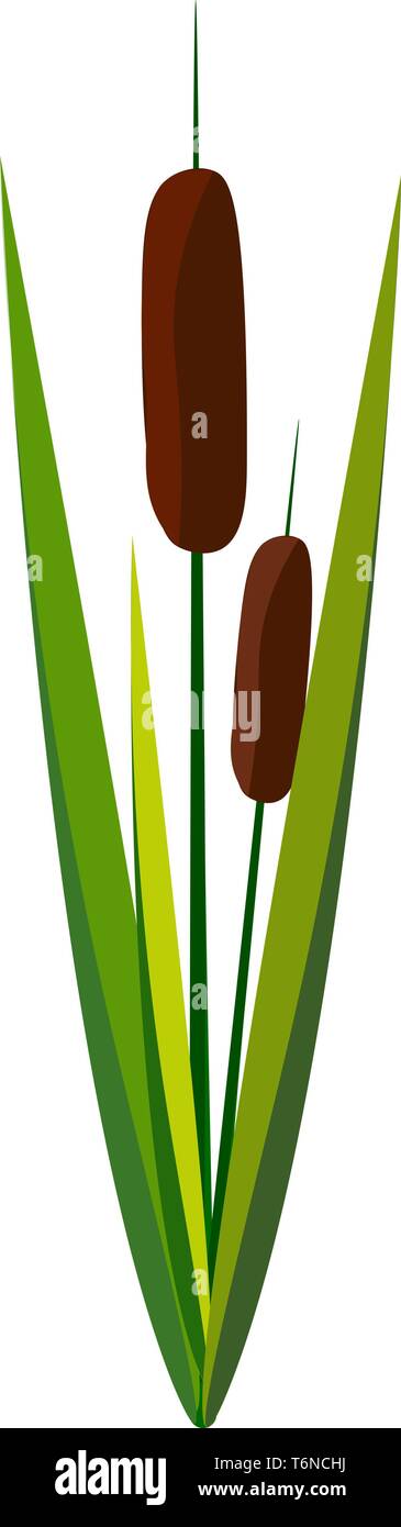 Greeny flower hi-res stock photography and images - Alamy