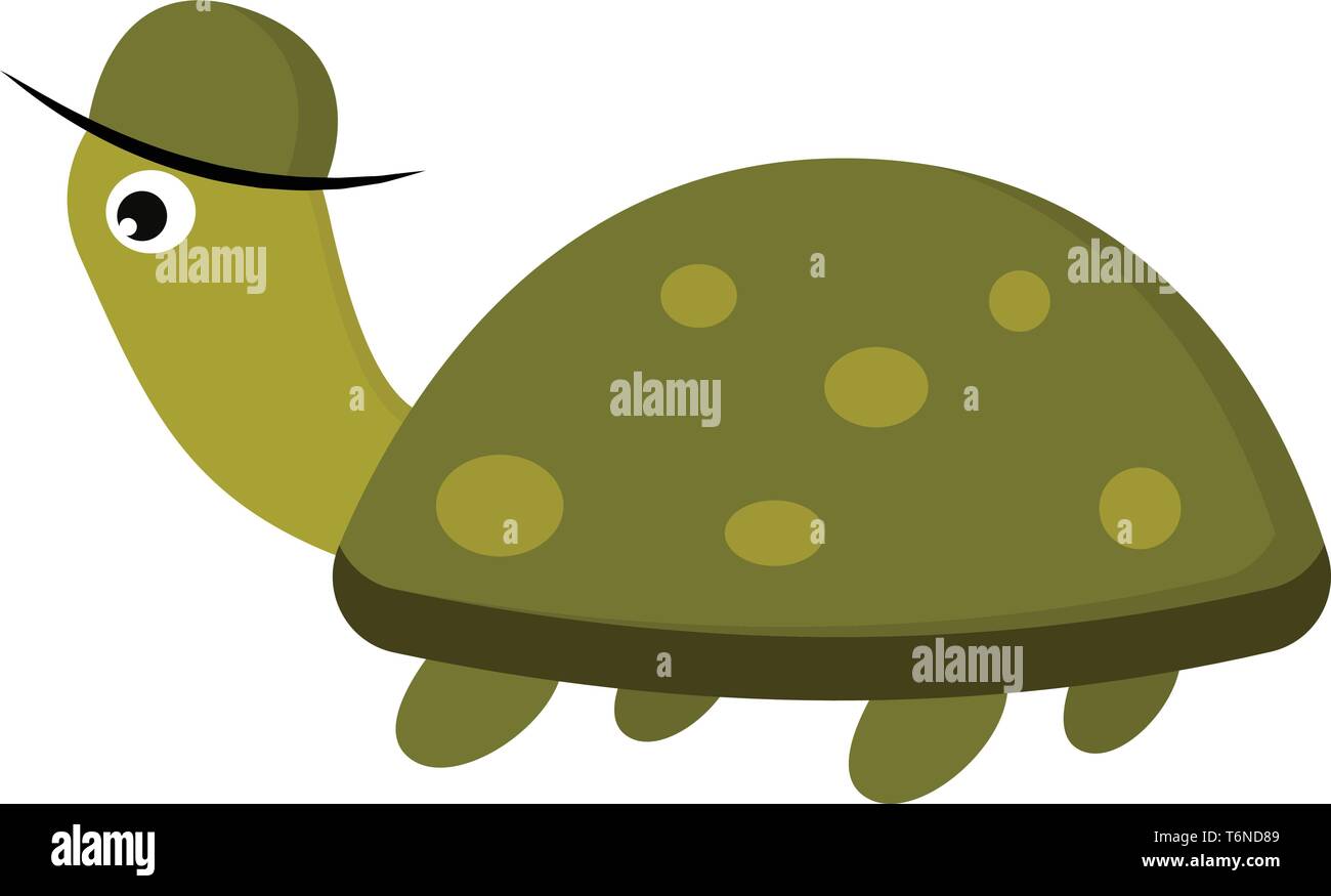 A green tortoise with spots on it which is wearing a green color cap ...