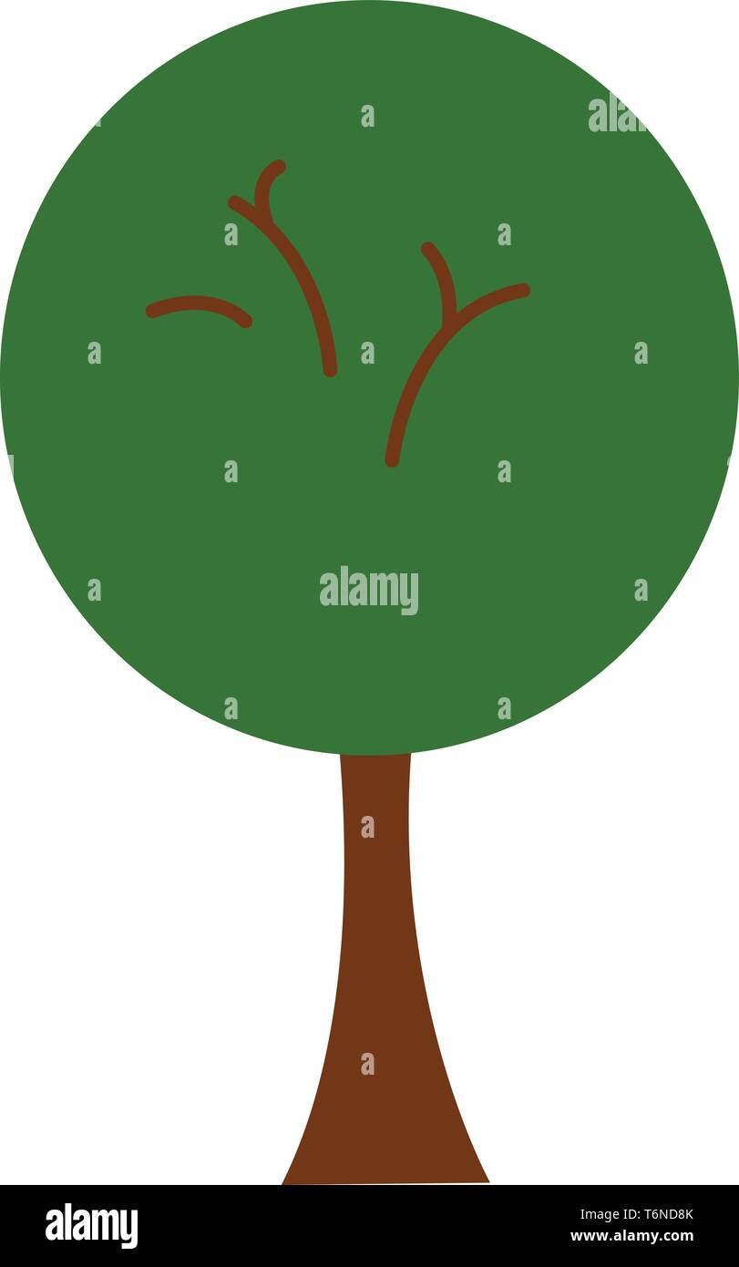 A big tree which is fully green in color vector color drawing or ...