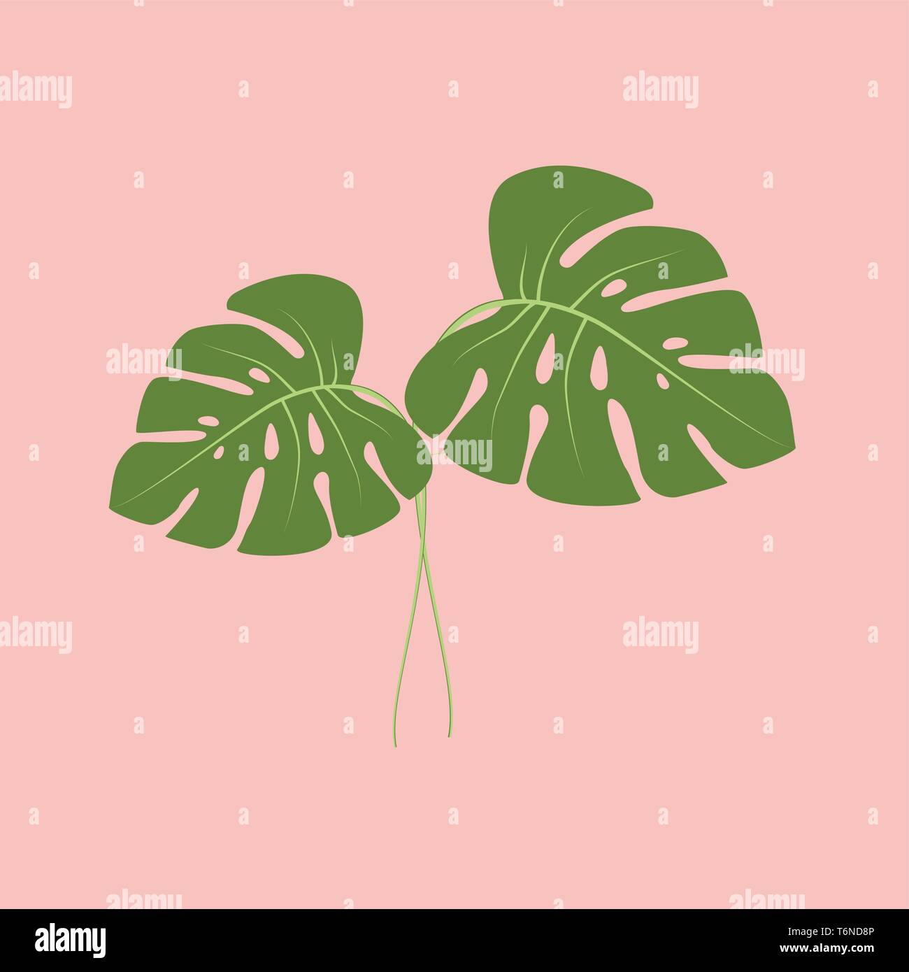 Two large leaves Stock Vector Images - Alamy