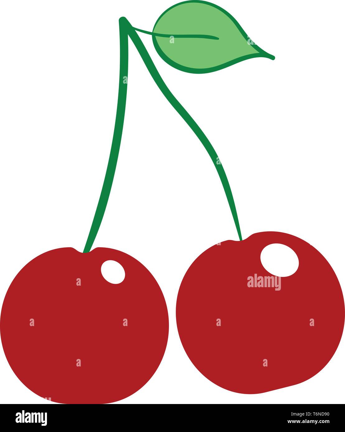 Two small cherries in red color which are fresh vector color drawing or ...