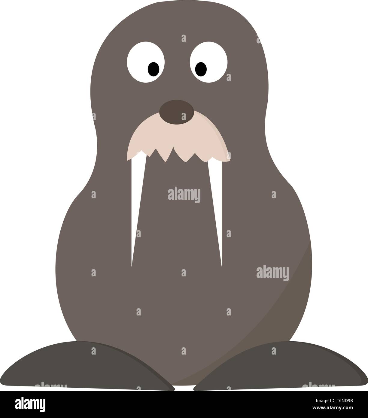 A grey walrus with two long teeth sitting on the shore vector color ...