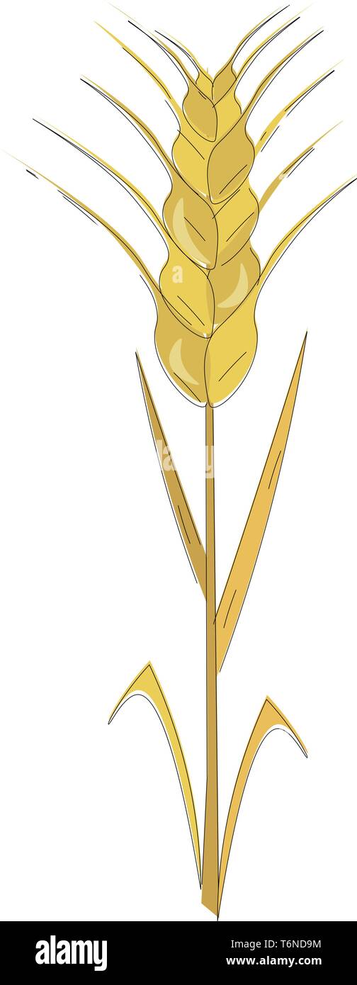 Cultivation of wheat art Stock Vector Images - Alamy