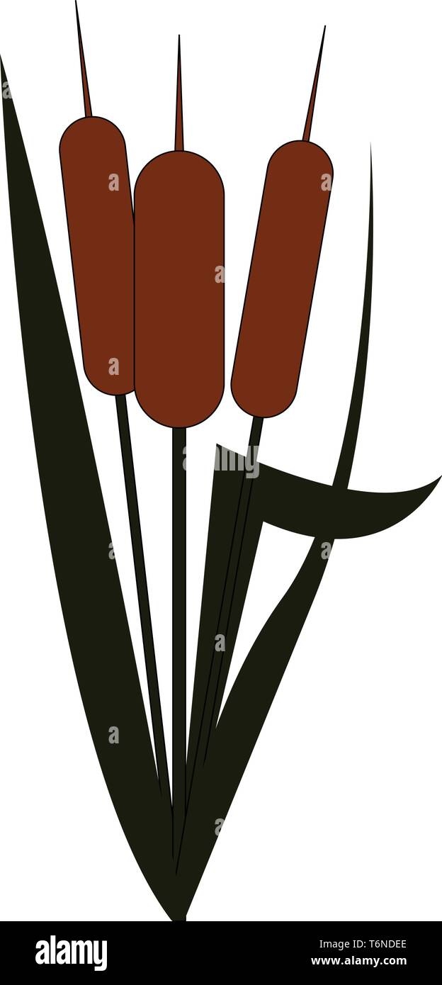 Saps Stock Vector Images - Alamy