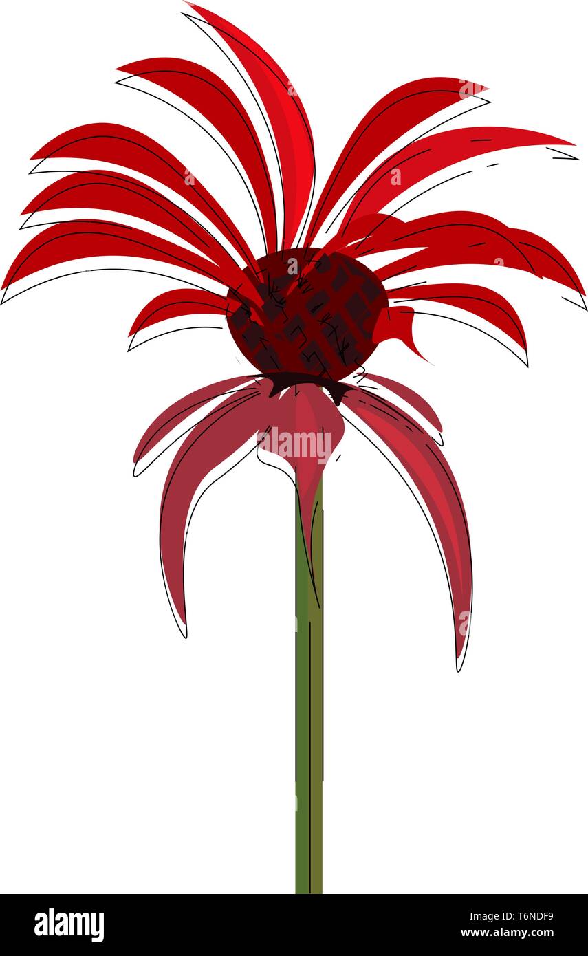 Clipart of a bee balm flower with elongated florets and a brown floral ...