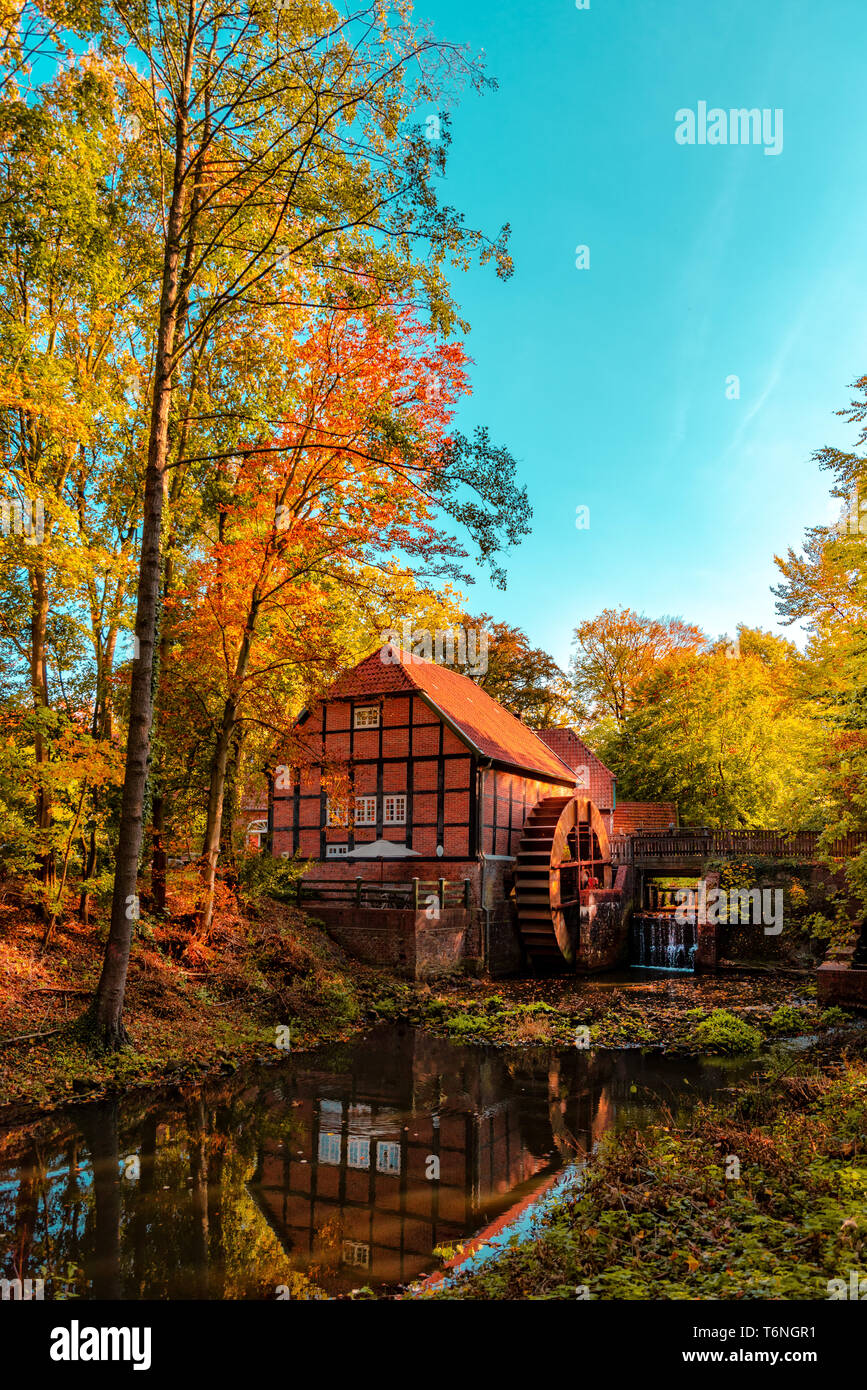 Forest in autumn and a beautiful and picturesque watermill Stock Photo ...