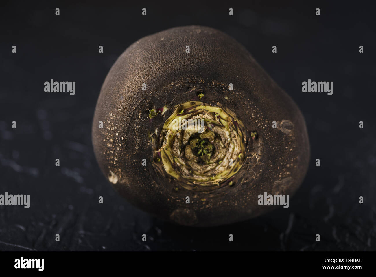Black radish hi-res stock photography and images - Alamy