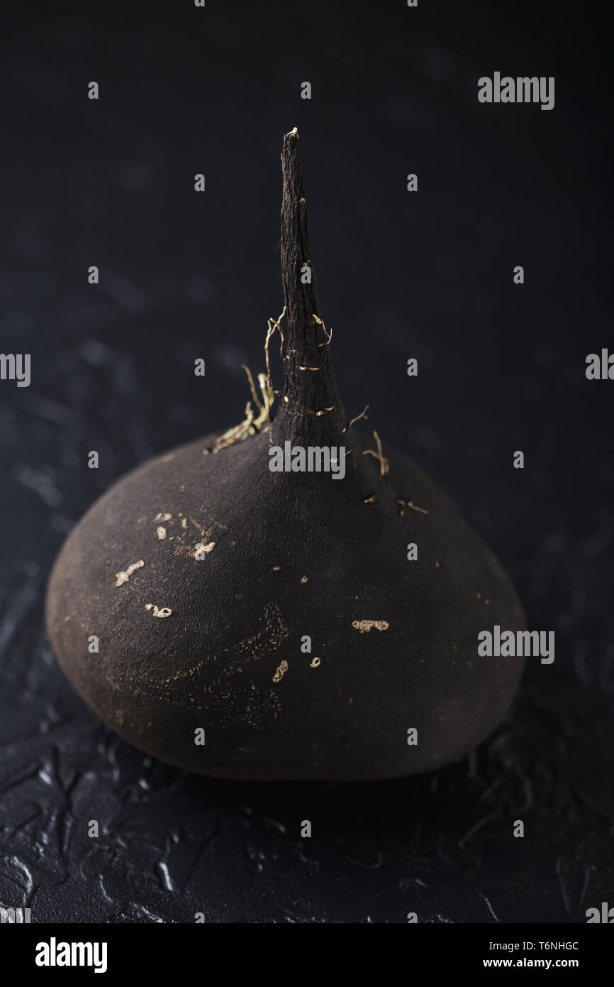 Black radish hi-res stock photography and images - Alamy