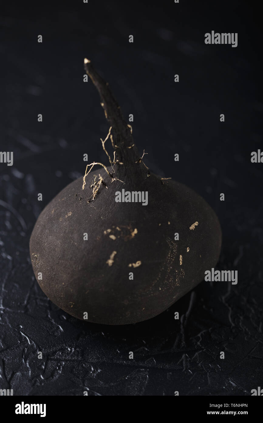 Black sh hi-res stock photography and images - Alamy