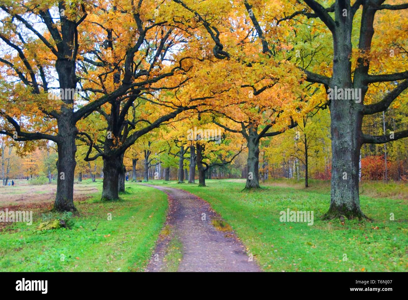 Autumn rain walk hi-res stock photography and images - Alamy