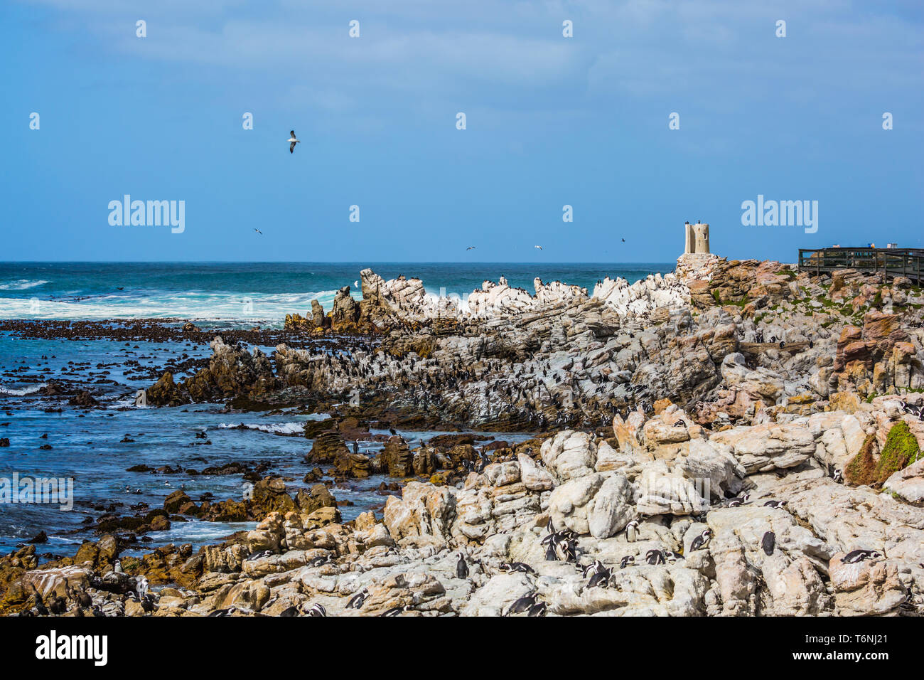 African coast hi-res stock photography and images - Alamy
