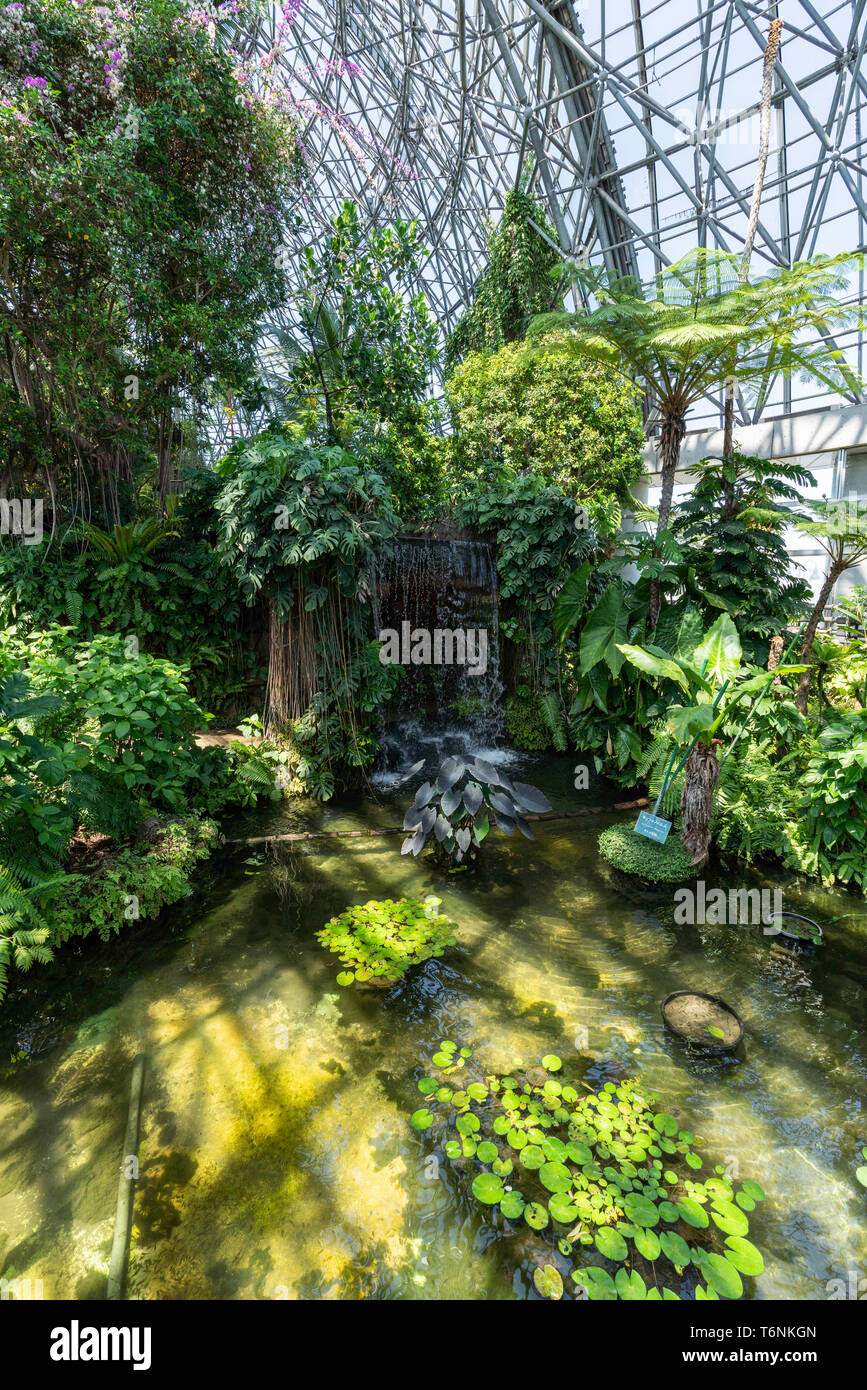 Yumenoshima Tropical Greenhouse Dome, Yumenoshima Park, Koto-Ku, Tokyo ...