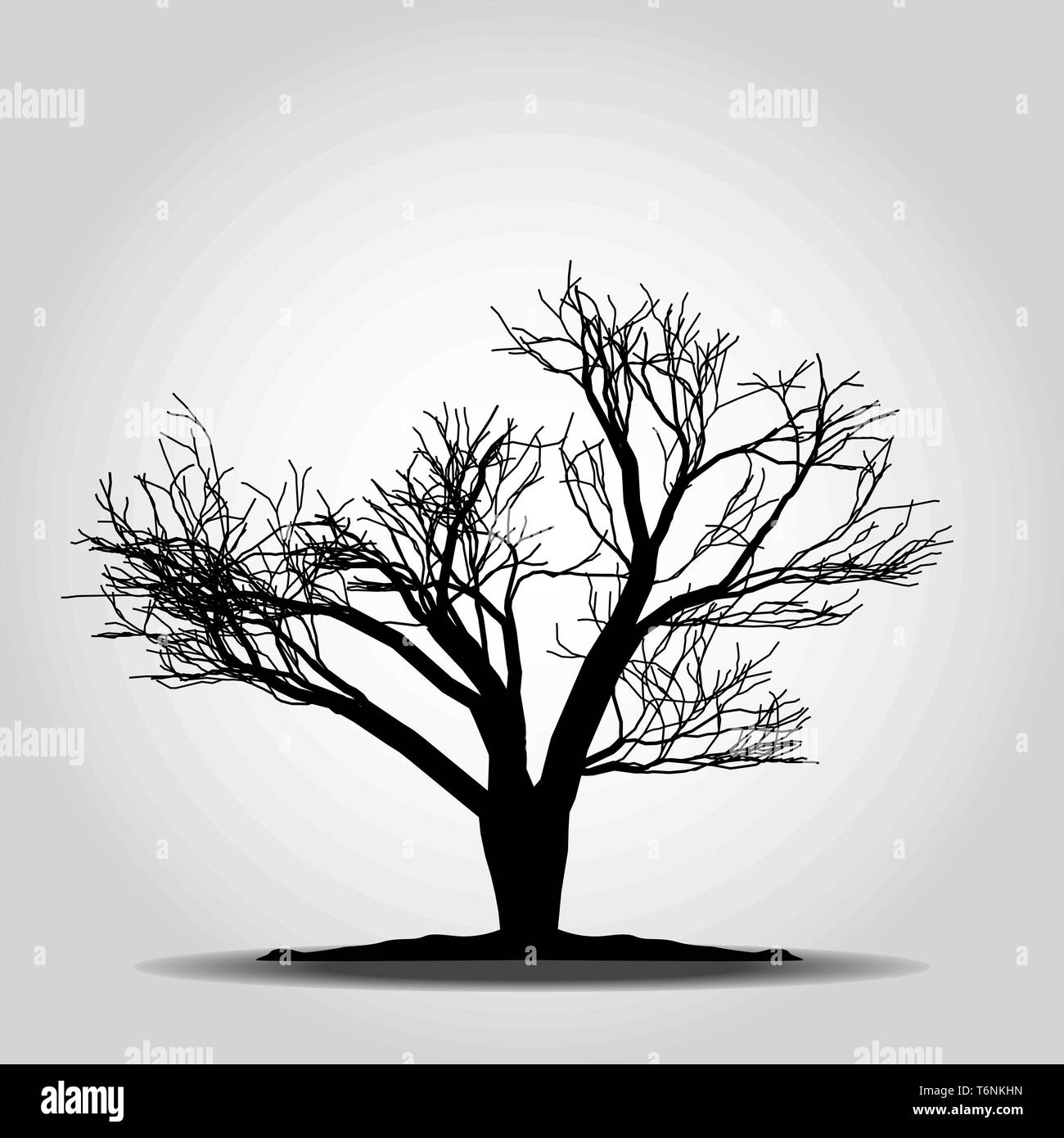 Tree icon. Forest symbol. Flat web sign on white background. Vector eps ...