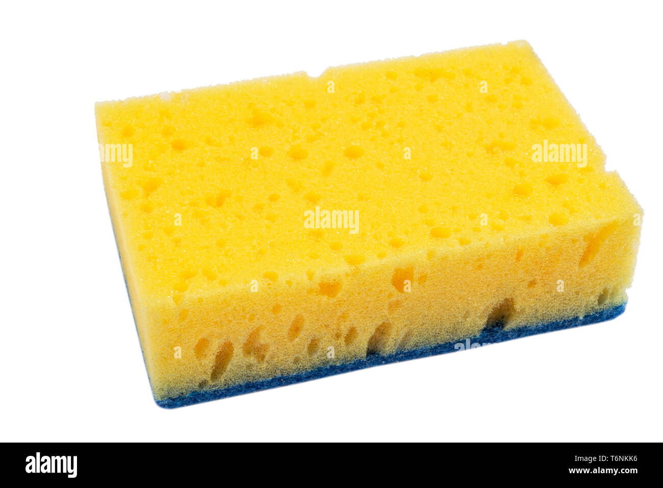 Yellow Sponge