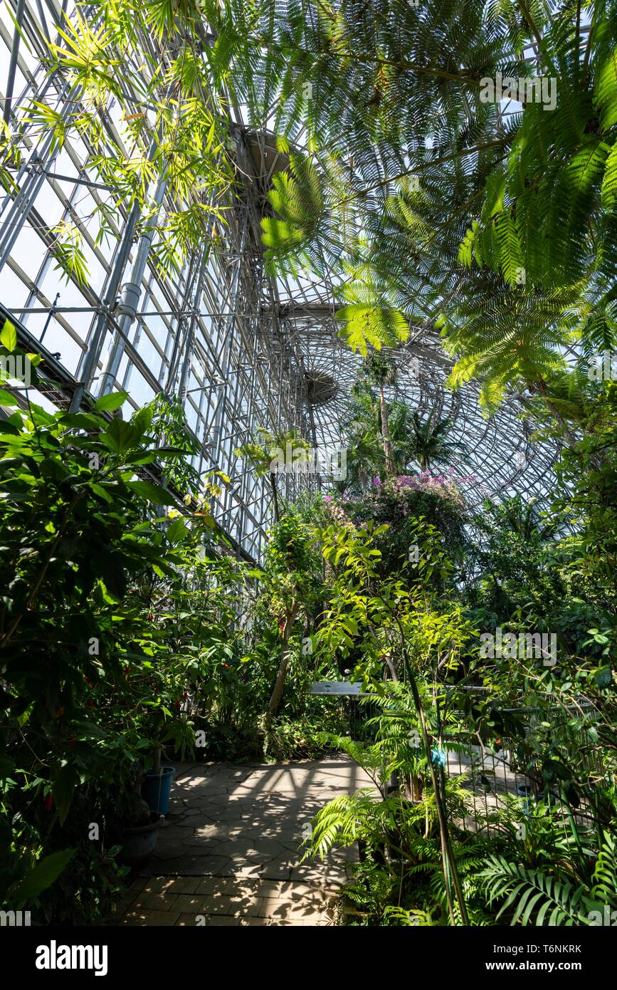 Yumenoshima Tropical Greenhouse Dome High Resolution Stock Photography ...