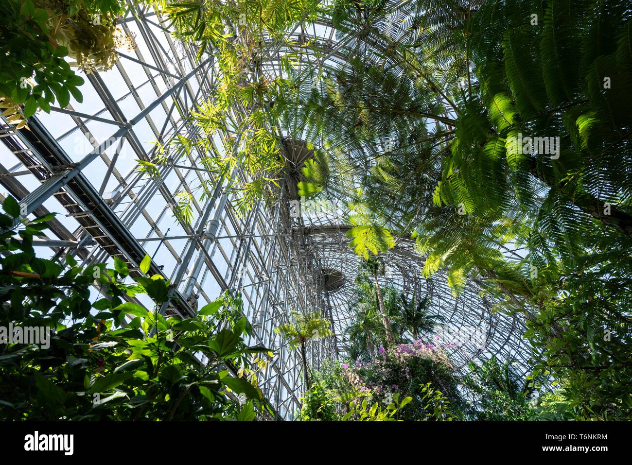 Yumenoshima Tropical Greenhouse Dome High Resolution Stock Photography ...