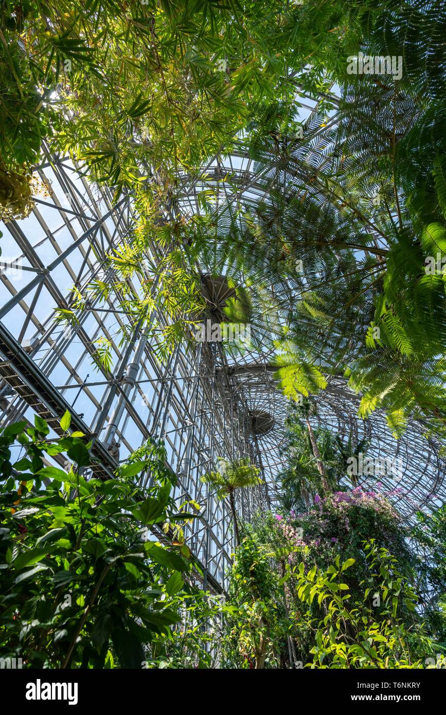 Yumenoshima Tropical Greenhouse Dome High Resolution Stock Photography ...