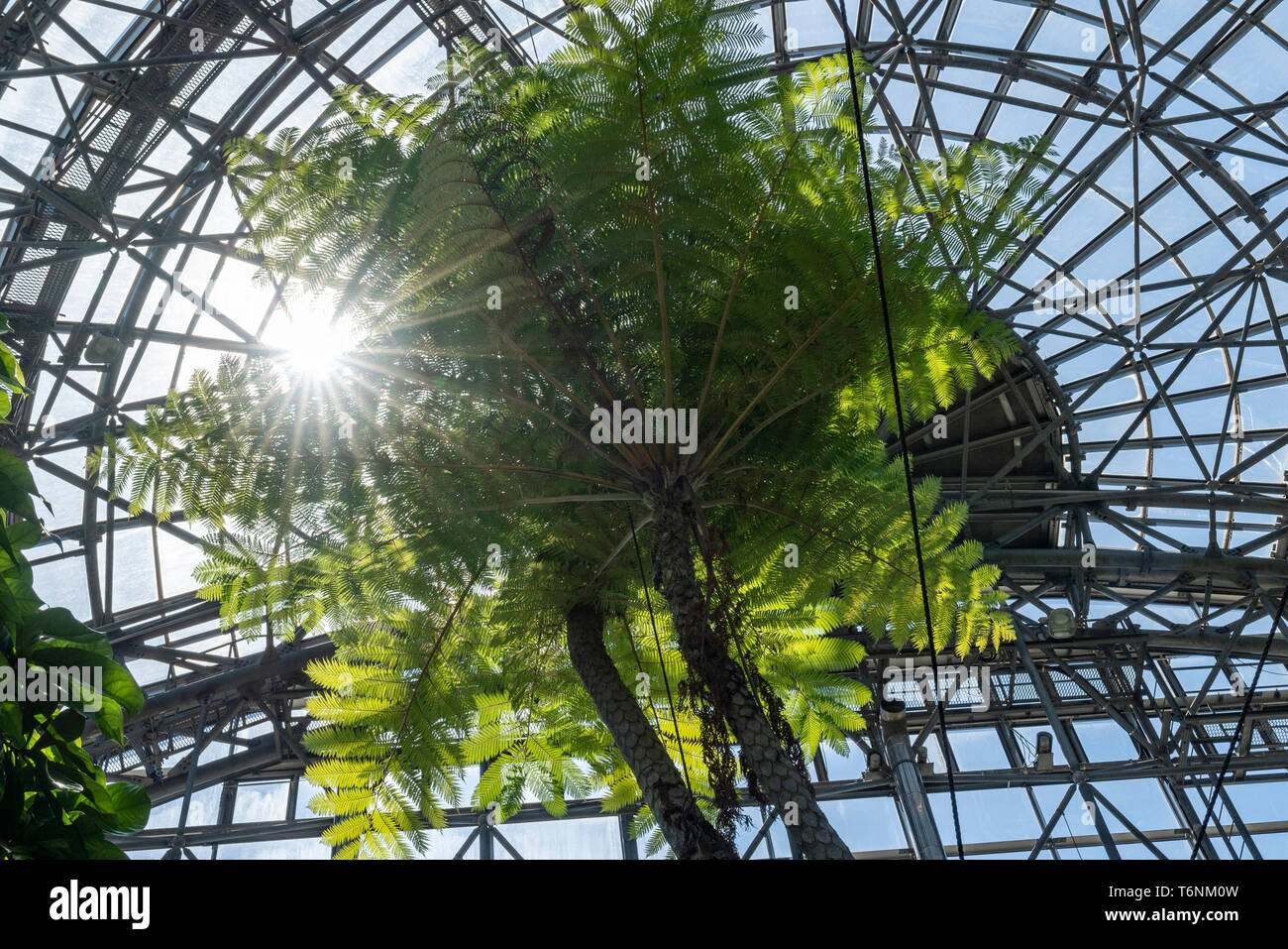 Yumenoshima Tropical Greenhouse Dome, Yumenoshima Park, Koto-Ku, Tokyo ...
