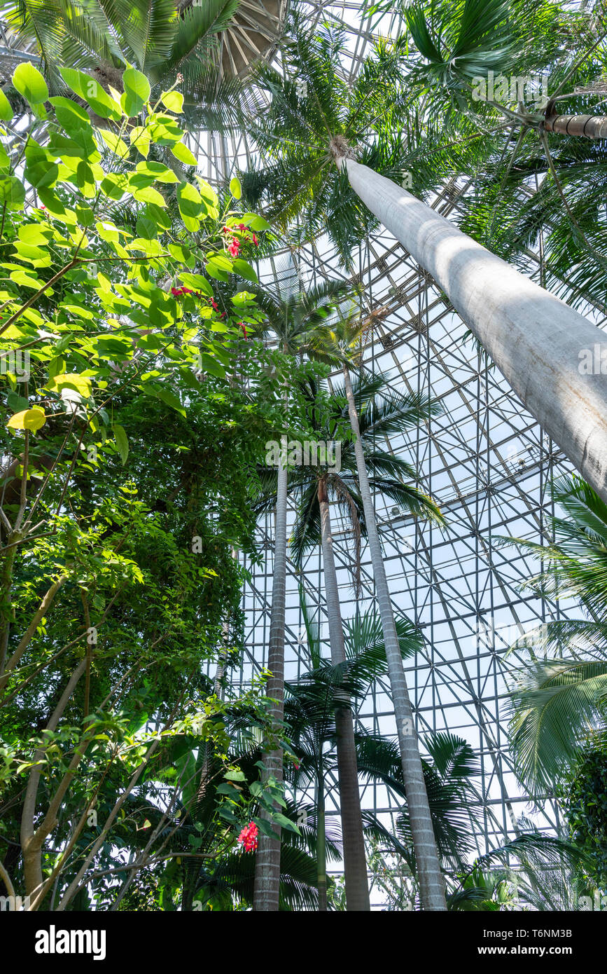 Yumenoshima Tropical Greenhouse Dome High Resolution Stock Photography ...