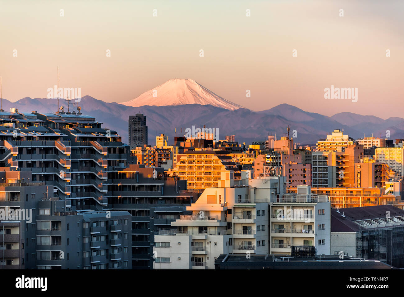 Tokyo cityscape mt fuji hi-res stock photography and images - Alamy