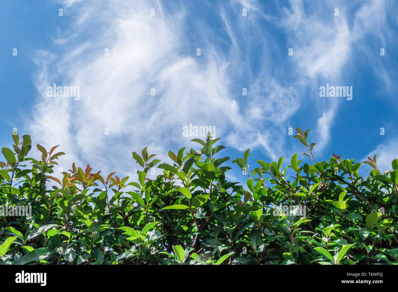 Disordered environment hi-res stock photography and images - Alamy