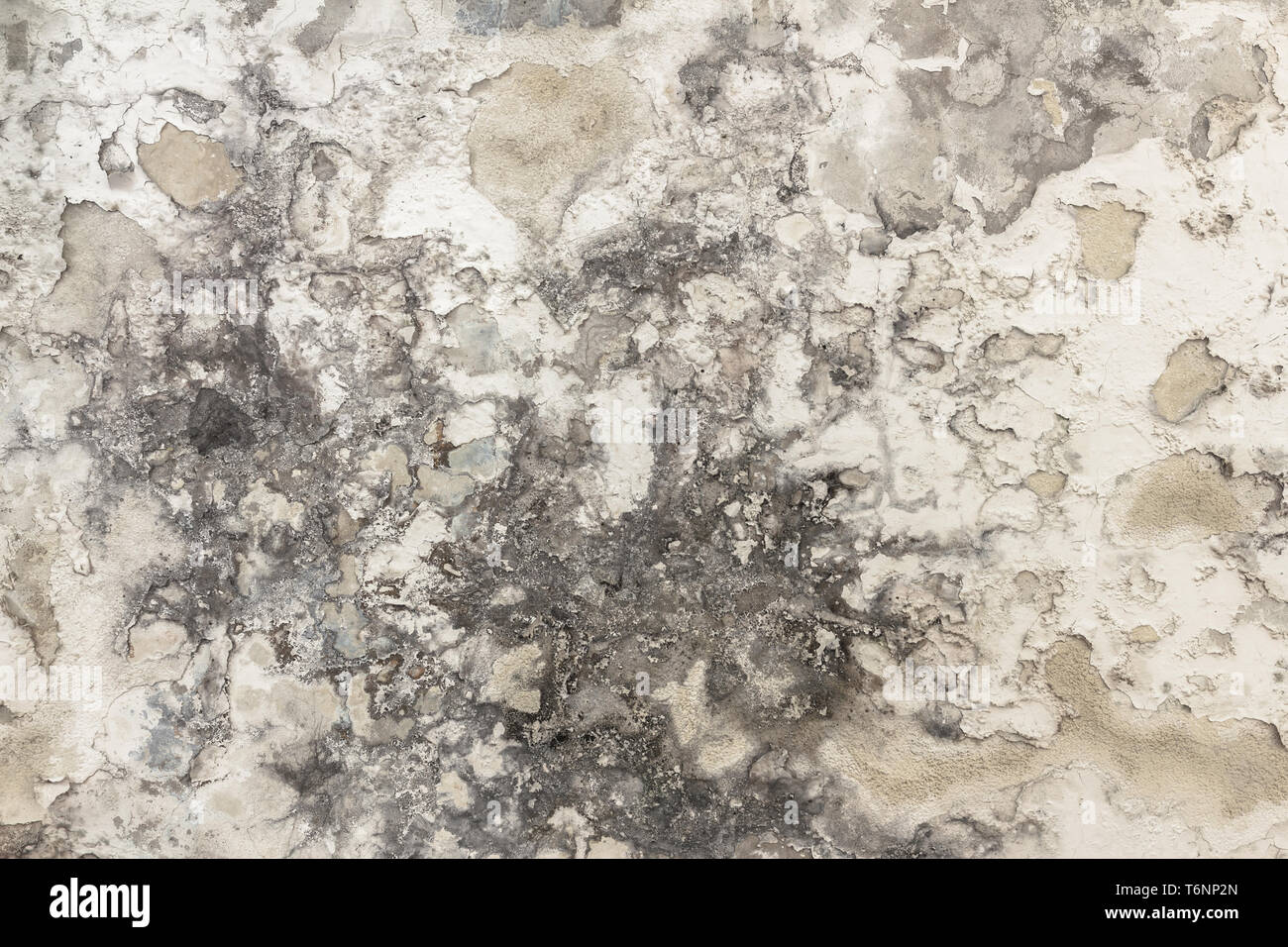 Mold and moisture buildup on a wall Stock Photo - Alamy