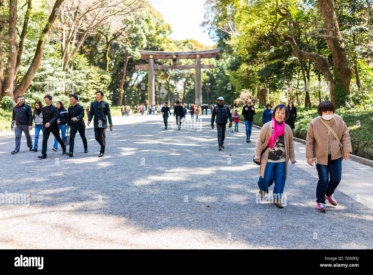 Japanese walking path hi-res stock photography and images - Alamy