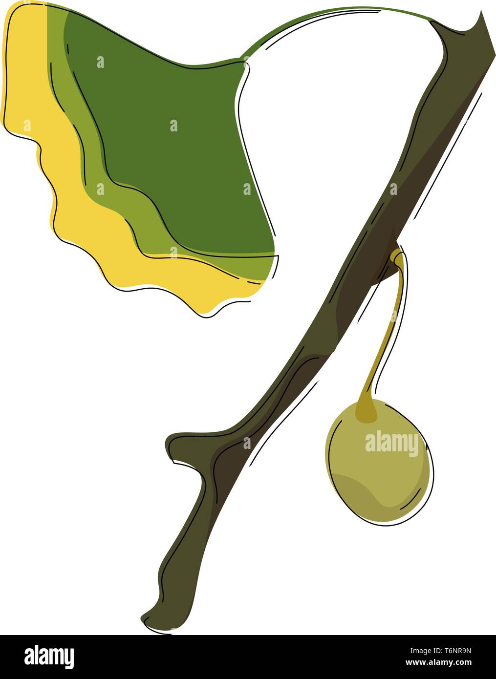 Green deciduous trees Stock Vector Images - Alamy