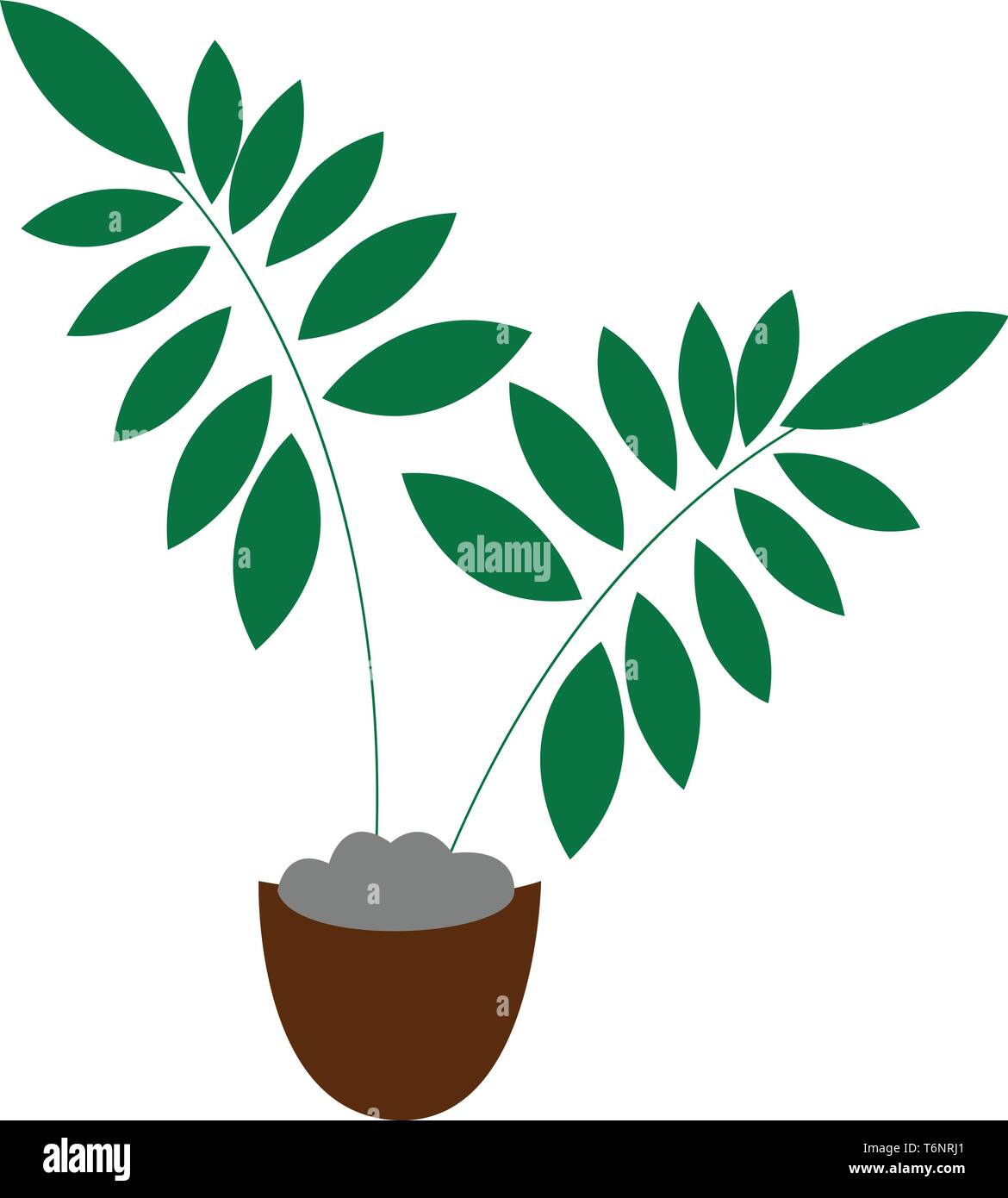 Ovate shaped leaves Stock Vector Images - Alamy