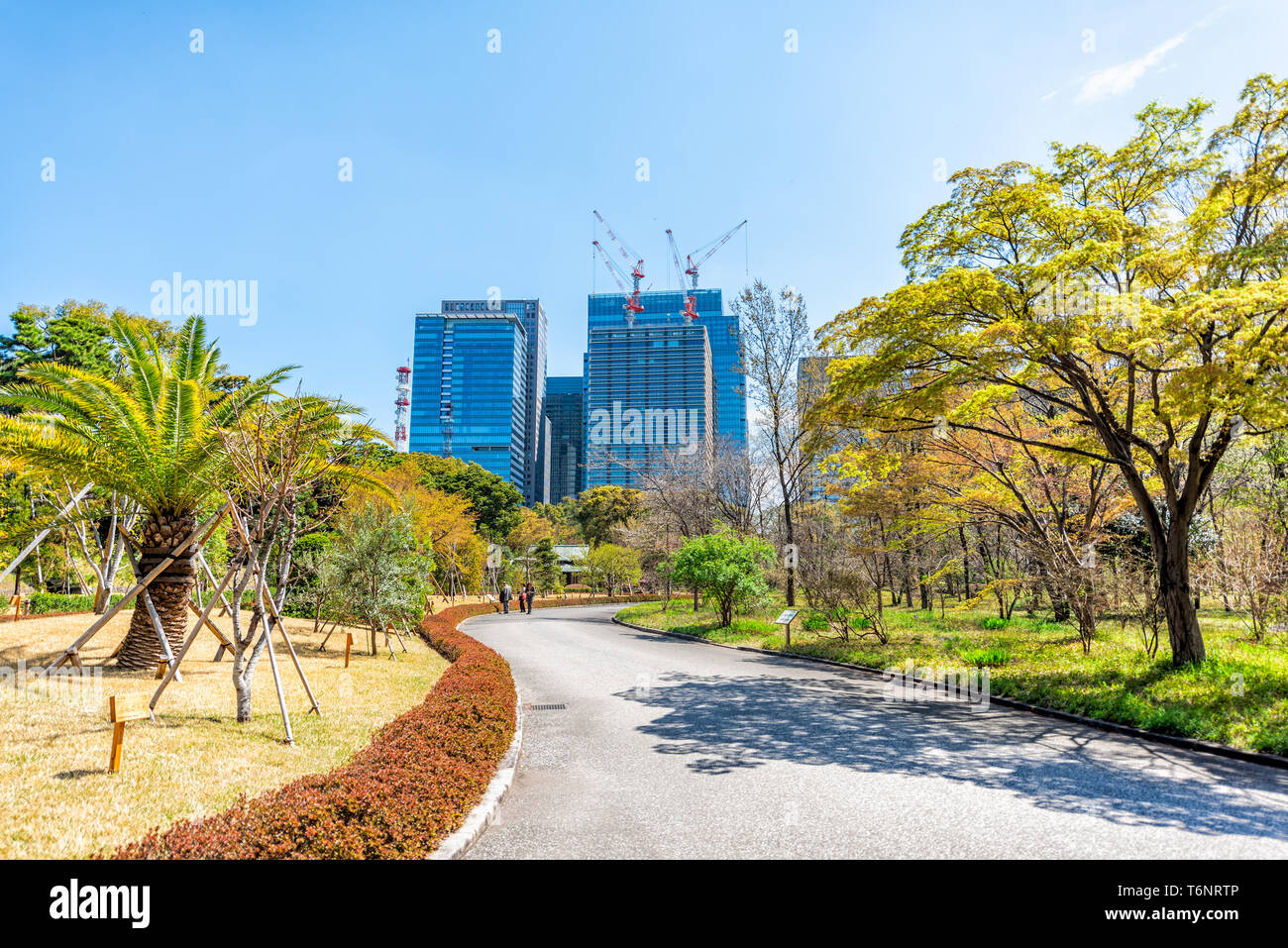 Tokyo, Japan - April 1, 2019: Garden park road with skyscrapers view on ...
