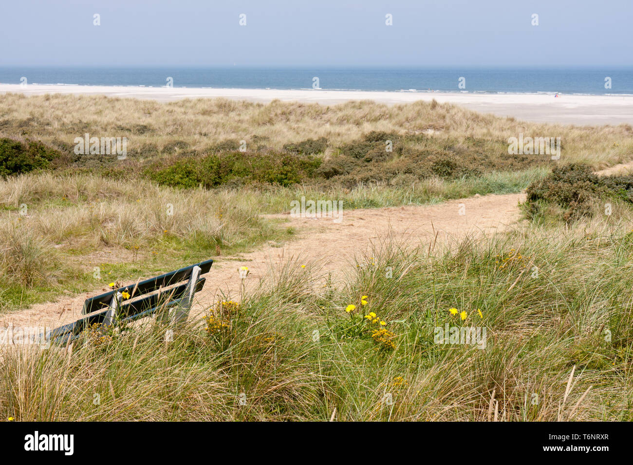 Marram road hi-res stock photography and images - Alamy