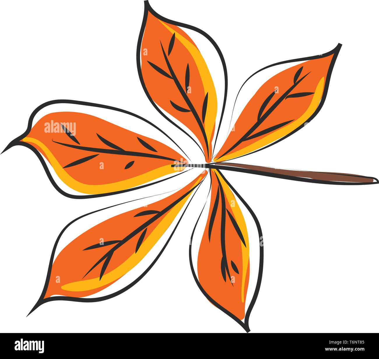 Alternate oval leaves Cut Out Stock Images & Pictures - Alamy