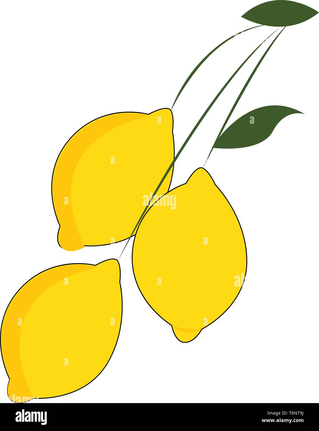 Clipart of three bright yellow lemons hanging individually on a long ...