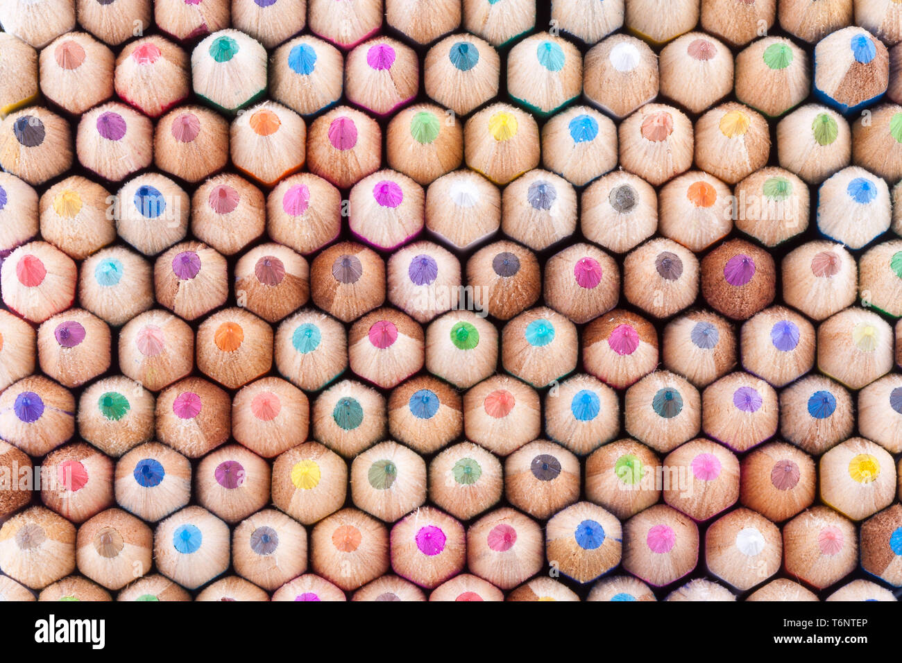 Many pencils hi-res stock photography and images - Alamy