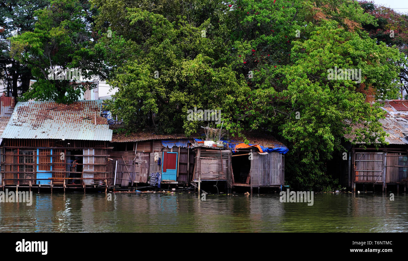Amazing scene of riverside house under big tree with large canopy cover ...